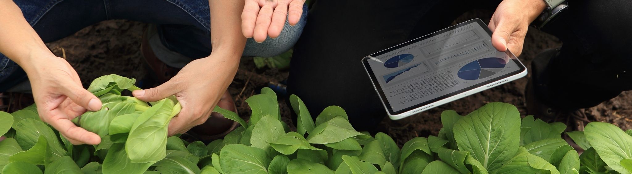 Advancing Digital Agriculture and Conservation - Farm Foundation