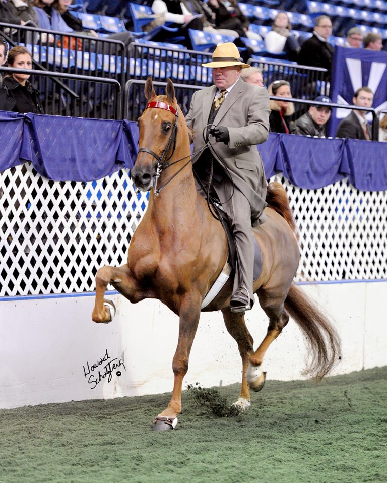 Horse Trek - Kentucky Living