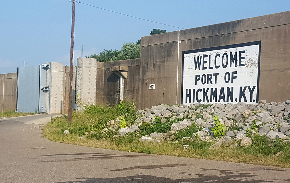 Concrete Canvas - Kentucky Living