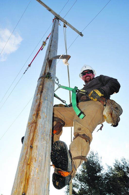 What’s on that utility pole? - Kentucky Living
