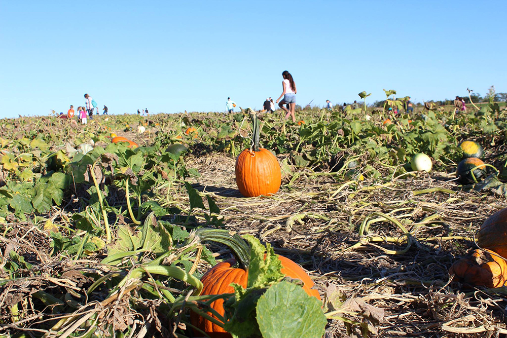 Agriculture adventure - Kentucky Living