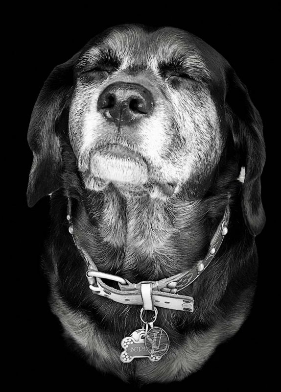 2020 Kentucky Living Photo Contest Winners - Kentucky Living