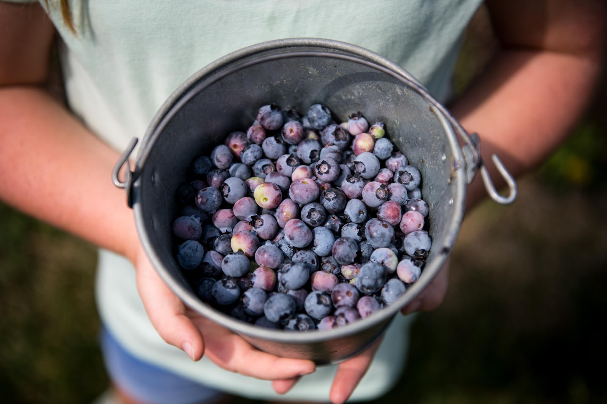 Backyard berries and beyond - Kentucky Living