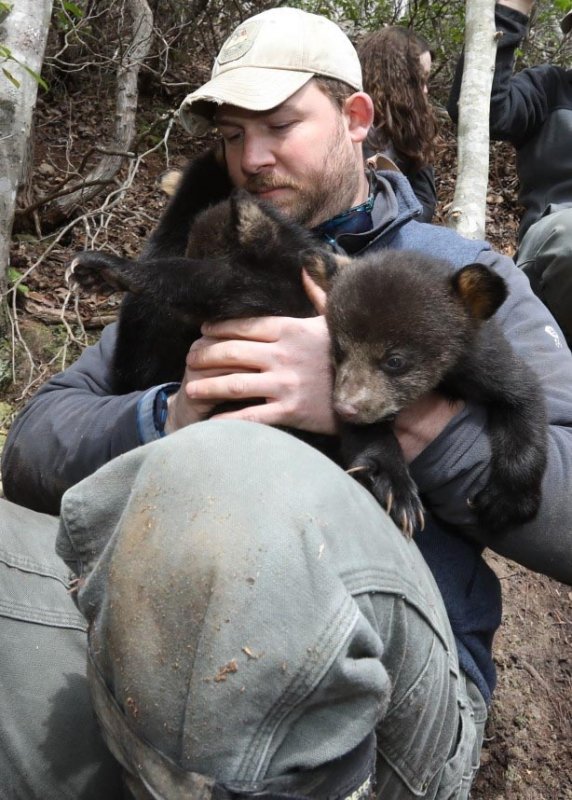 The bear facts - Kentucky Living