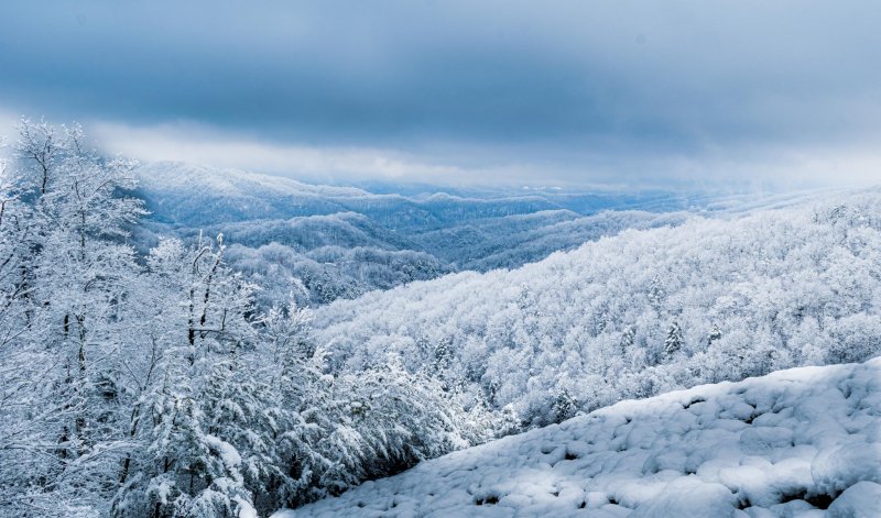 Kentucky Living 2021 Photo Contest Winners! - Kentucky Living