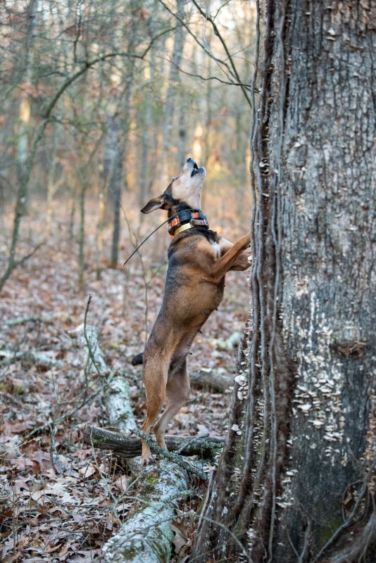 Ramblin' man - Kentucky Living