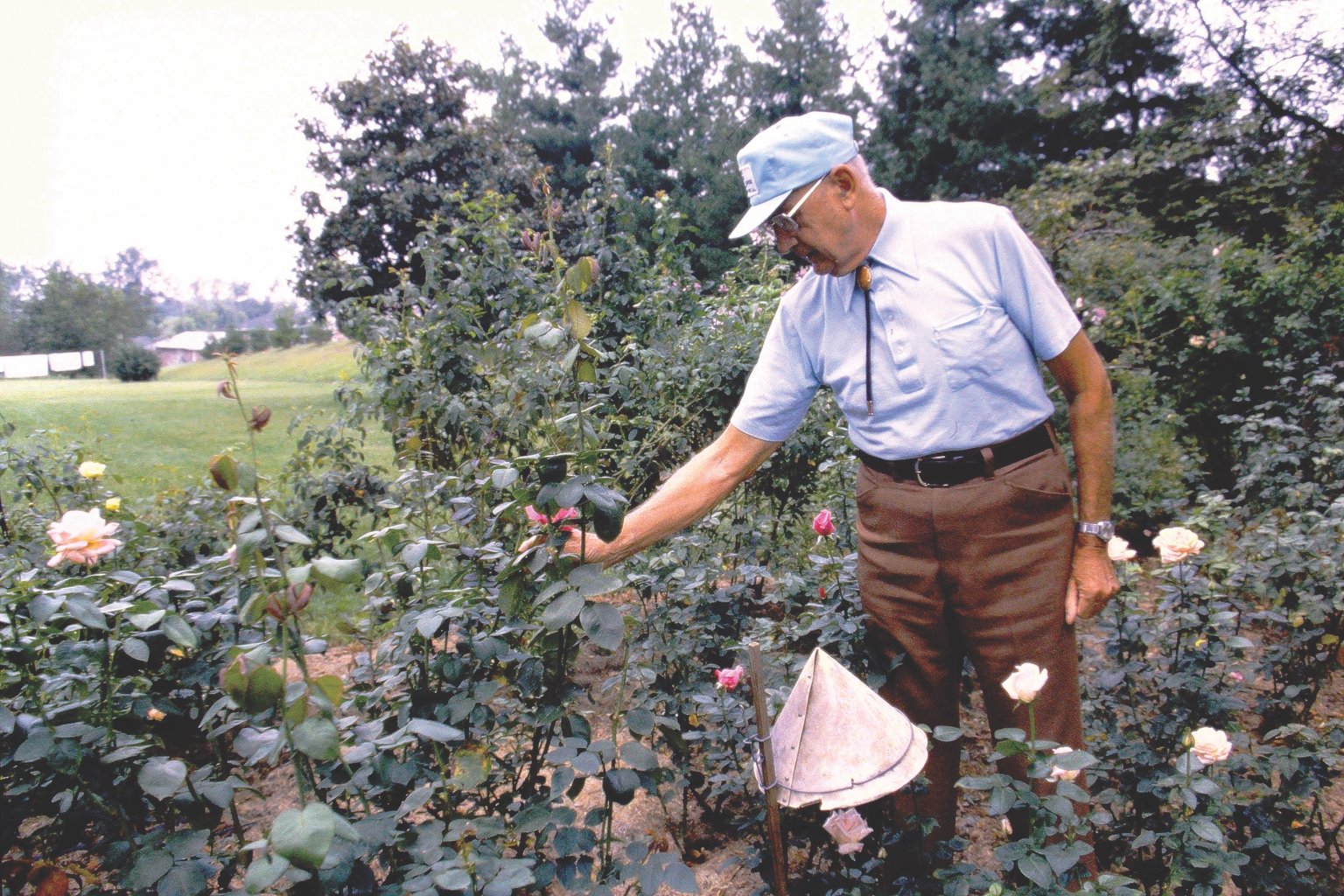Lessons from “the rose man” - Kentucky Living