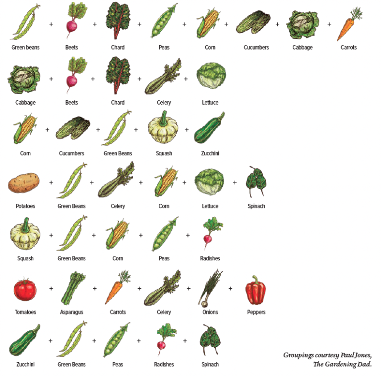 Get growing! - Kentucky Living