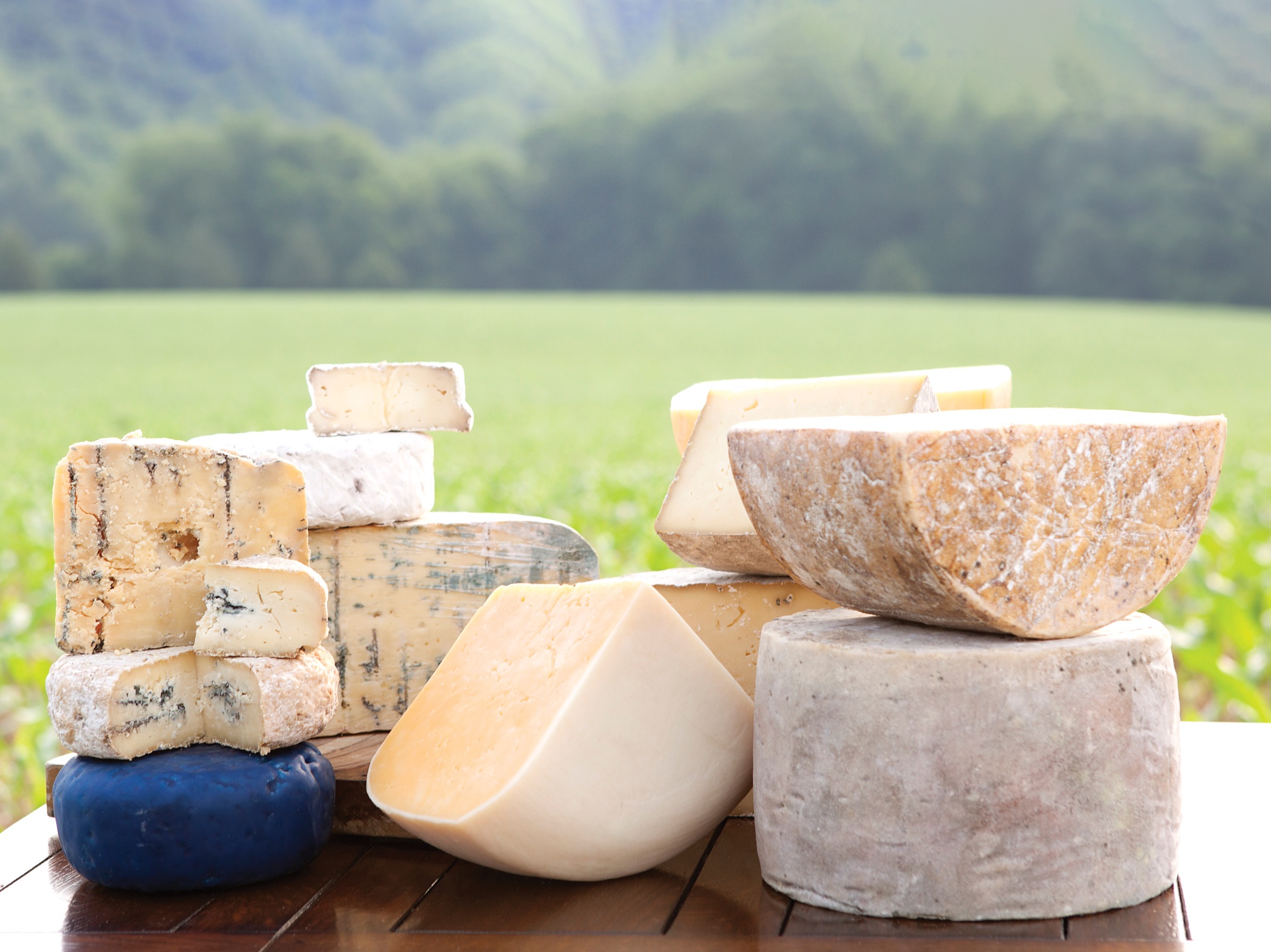 Kentucky says cheese - Kentucky Living