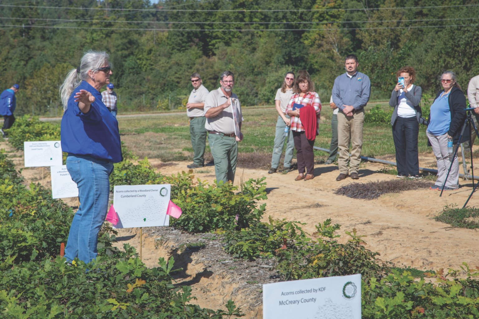 Saving the white oak - Kentucky Living