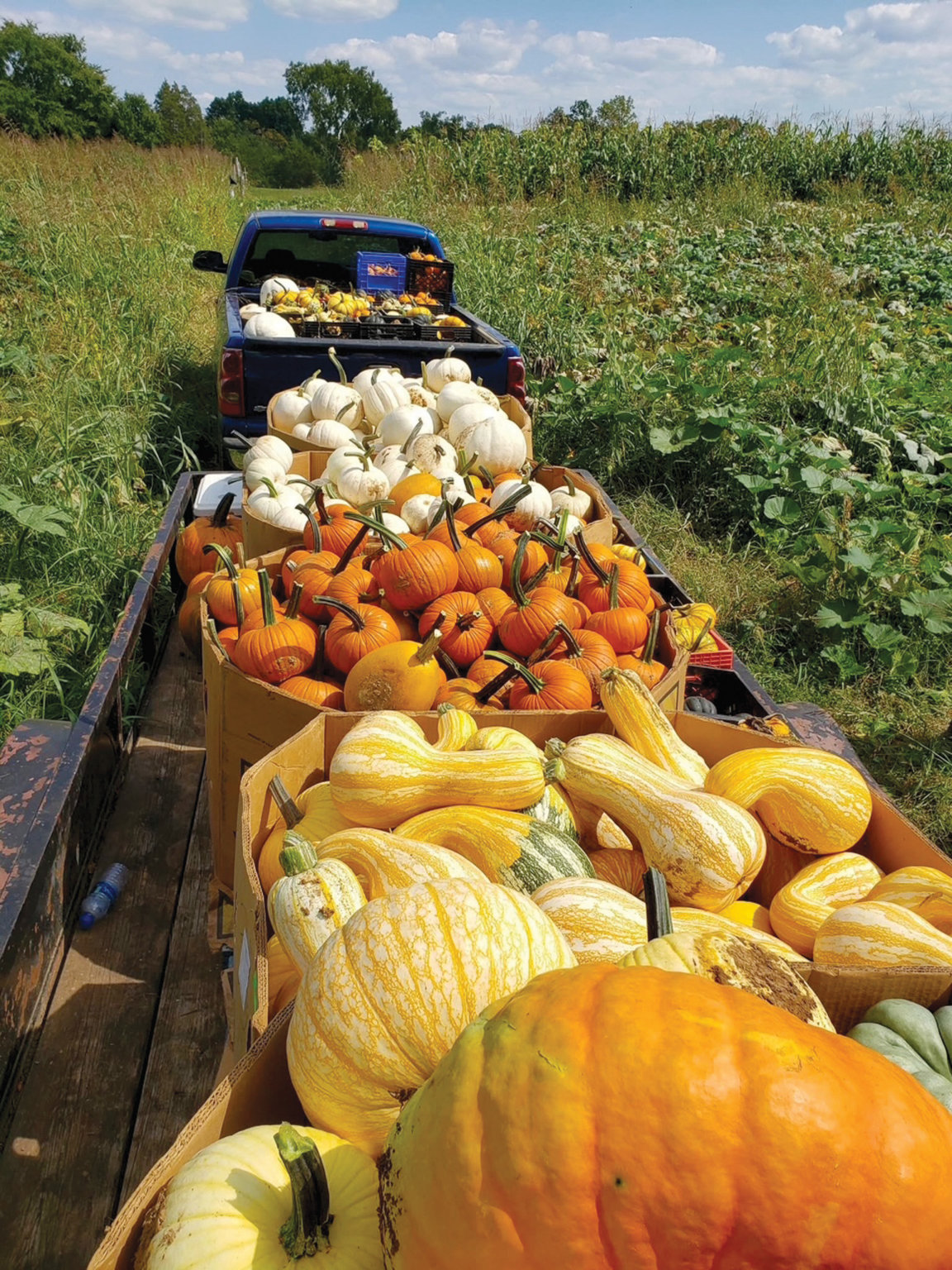 Pumpkin season - Kentucky Living